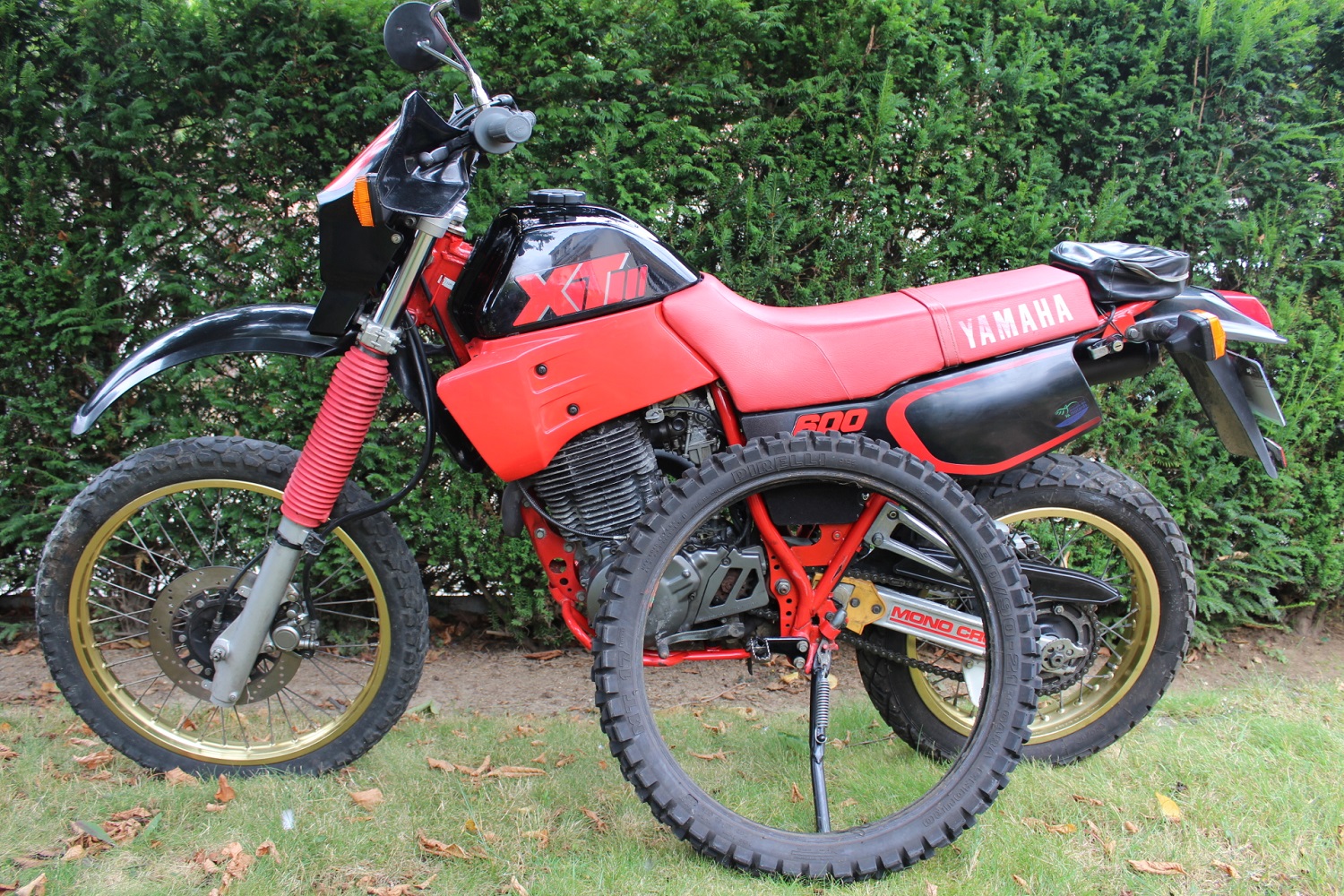 Xt 600 Forum